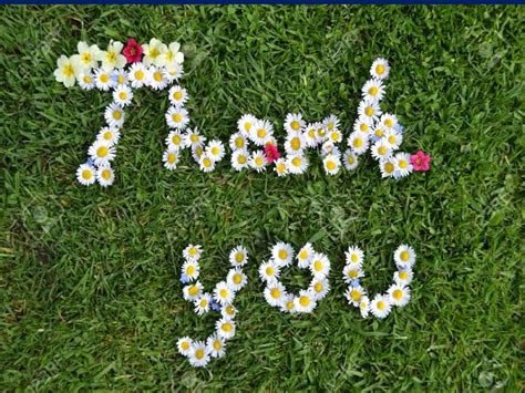 Neoplasia Biology And Lab Dxpptpresentation On Neoplasia Ppt