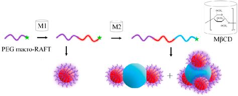 Figure 1 From Modern Trends In Polymerization Induced Self Assembly Semantic Scholar