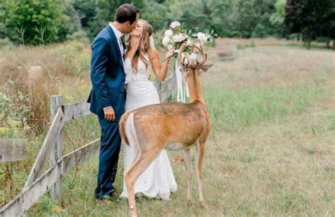 Младоженци и сватбари преживяха невиждан инцидент СНИМКИ