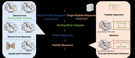 Deep Learning Based Prediction Framework For Protein Peptide