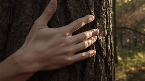 [video] Icl Group On Linkedin Meet Icl Growing Solutions