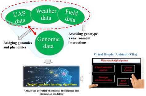 Integrating Multiple Data Platforms For High‐throughput Crop Breeding