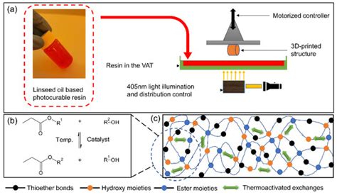 Vat Photopolymerization 3d Printing Of Dynamic Thiol Acrylate Photopolymers Using Bio Derived