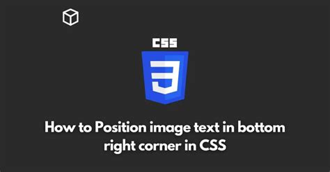How To Position Image Text In Bottom Right Corner In Css Programming Cube