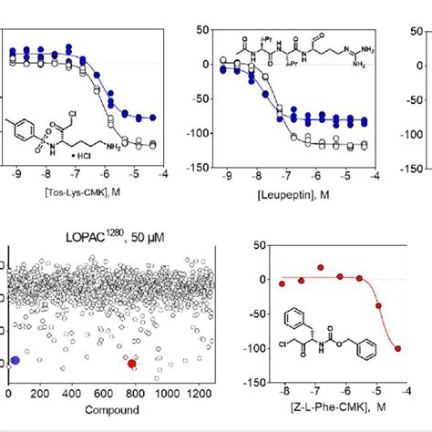 Validation Of The Algorithm Optimized Experimental Conditions For A