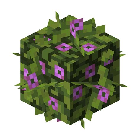 Fancyfast Bushy Leaves Gallery