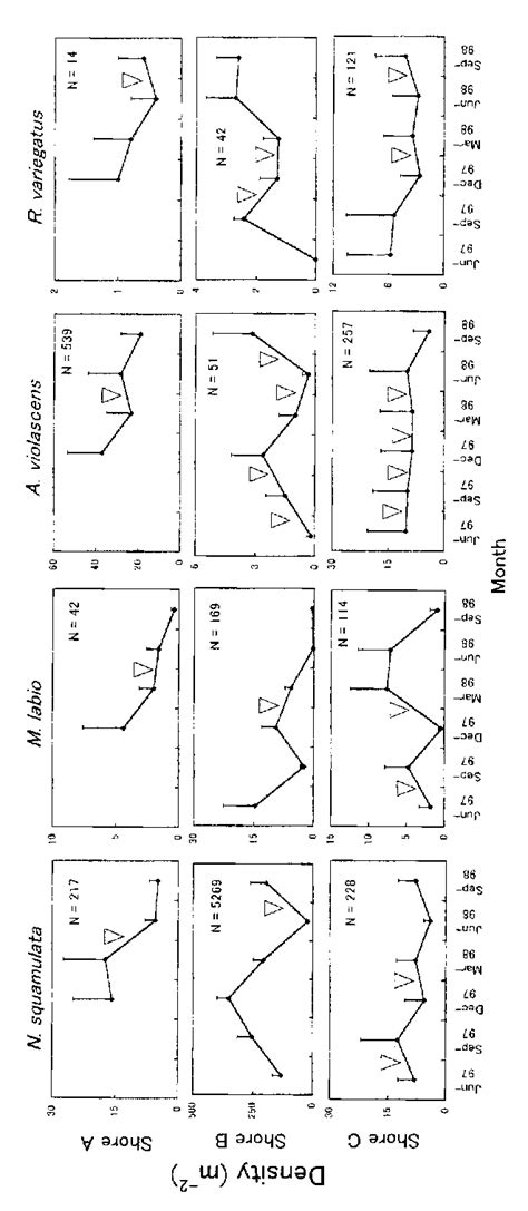 Temporal Fluctuation In The Mean Se Density M Download Scientific