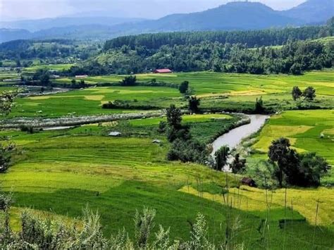 District District Election Officer Senapati Manipur