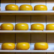 Top 10 Batch Traceability Questions