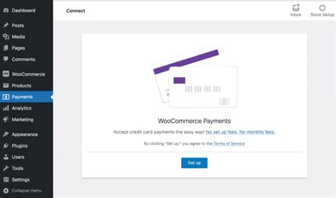 Woocommerce Payments Setup Types And Analogy Wp Swings