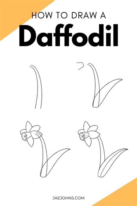 Step By Step To Draw A Daffodil In Minutes