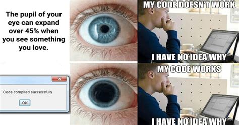 20 Programming Memes Thatll Trigger Any Developer Memebase Funny Memes