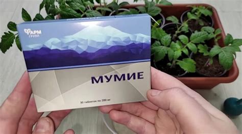 თქვენი ნერგები ძლიერი ჯანსაღი და სხვადასხვა დაავადებების მიმართ