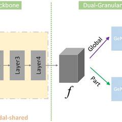 PDF Dualgranularity Feature Fusion In Visibleinfrared Person Reidentification