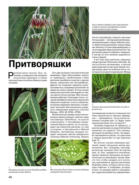 Химия и Жизнь Притворяшки Научно популярный журнал «Химия и жизнь 2016 №12