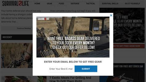 9 Newsletter Signup Form Tips Examples
