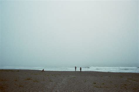 Butterflies And Bees Brendan Wolf Medium