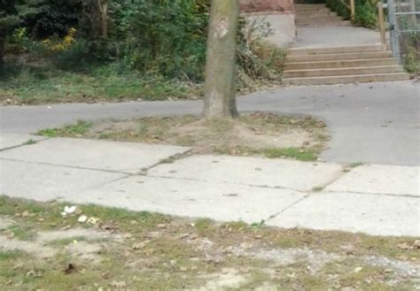 Inspection And Maintenance Vegetated Filter Strips Lid Swm Planning