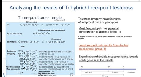 Lecture Linkage Mapping Flashcards Quizlet