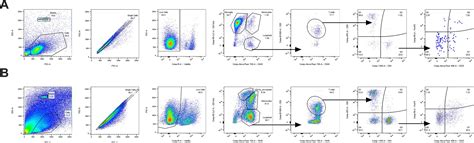 Sex Differences In Microglia Function In Aged Rats Underlie Vulnerability To Cognitive Decline Pmc
