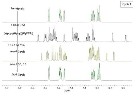 Spectra Cycles Explained At Ann Bunch Blog