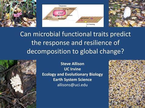 Ppt Can Microbial Functional Traits Predict The Response And