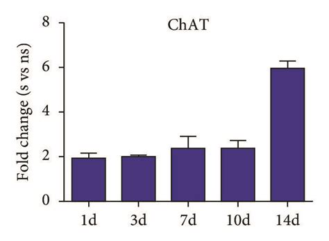 After Cell Cycle Synchronization To The G G Phase The Download Scientific Diagram