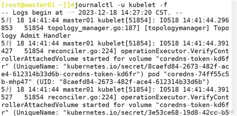 Kubernetes常用命令查看kubelet版本 Csdn博客