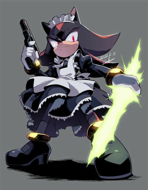 Pin On Sonic The Hedgehog Sonic And Shadow Shadow The Hedgehog
