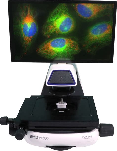 Evos M5000 荧光成像系统 Thermo Fisher Scientific Cn