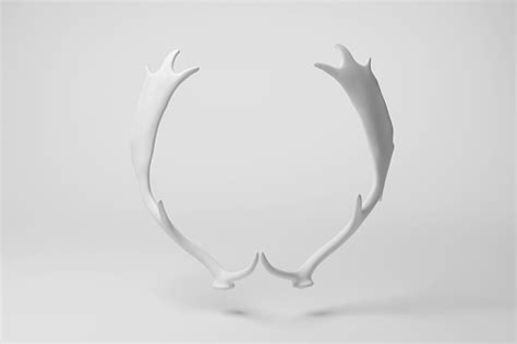 흑백과 미니멀리즘의 흰색 배경에 공중에 떠 있는 흰색 휴경 사슴 뿔 벽 장식의 개념에 대한 그림 걸이 장비에 대한 스톡 사진 및 기타 이미지 Istock