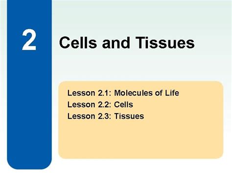Cells And Tissues Lesson Molecules
