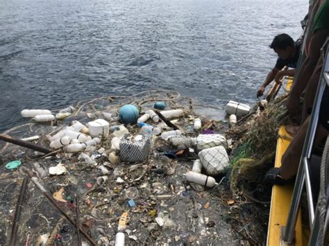 Ghost Nets Haunt Marine Life In Malaysian Marine Park Study Finds