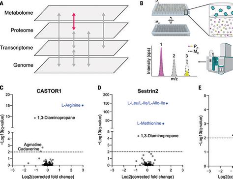 Protein Metabolite Interactomics Of Carbohydrate Metabolism Reveal