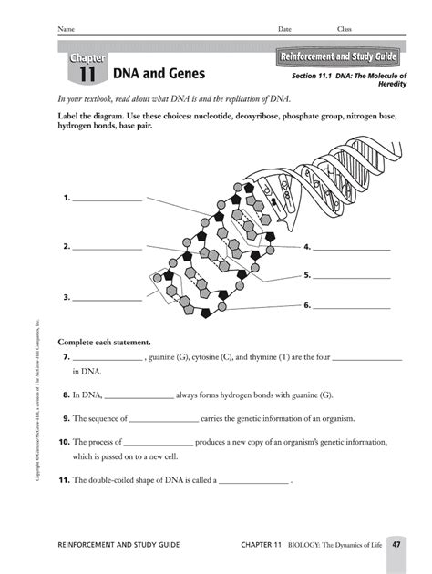 Chapter 11 Dna And Genes Worksheet Answer Key Fill Online