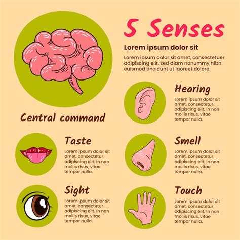 Show The Five Senses