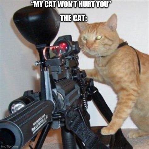 Cat With Gun Memes And S Imgflip