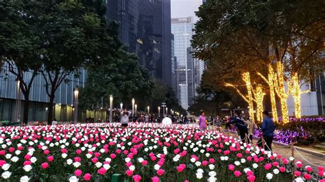 逾万朵LED玫瑰花空降香港金钟添马公园超适合夜间打卡 公共空间艺术设计网 公共艺术 艺术装置