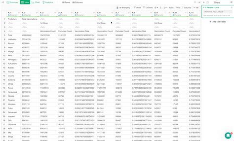 Data Wrangling With Ai Prompt