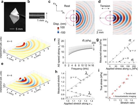 Imaging And Analysing Elastic Waves In A Stretched Rubber Membrane A