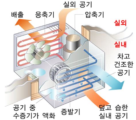 금성출판사 티칭백과