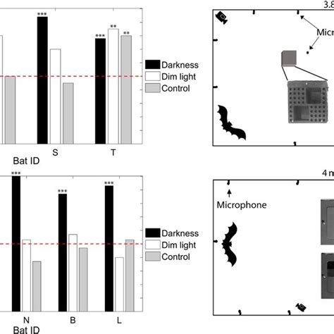 Cross Modal Recognition Between Echolocation And Vision Bats