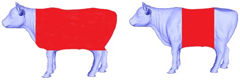 A Korean Cattle Weight Prediction Approach Using D Segmentation Based Feature Extraction And