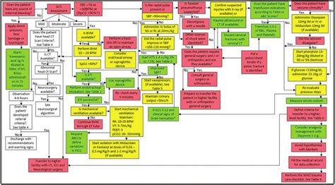 Management Algorithm Of The Patient With Traumatic Brain Injury TBI Download Scientific