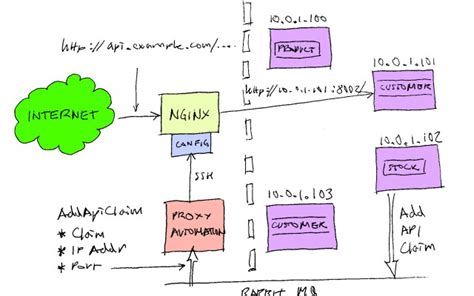 Automating Nginx Reverse Proxy Configuration