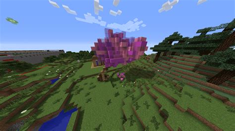 Дерево Сакура на сервере Basalt Craft Выживание постройки и локации C разных серверов