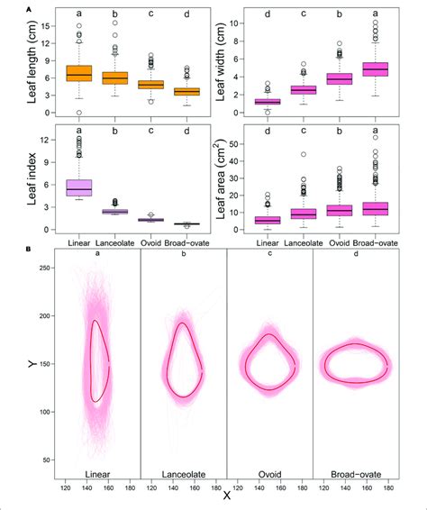 Descriptive Data And Shape Distribution And Manova Test For