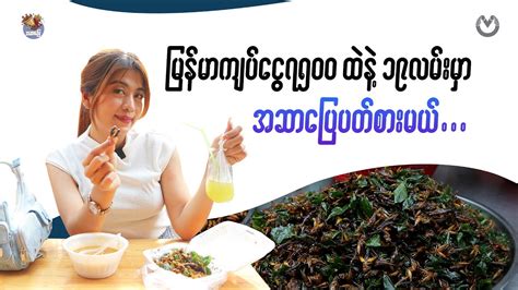 မြန်မာကျပ်ငွေ၇၅၀၀ ထဲနဲ့ ၁၉လမ်းမှာ အဆာပြေ ပတ်စားမယ် Youtube