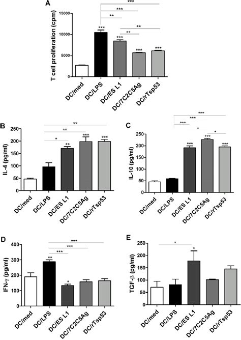 T Cell Proliferation And Cytokine Response To Rat Dendritic Cells Download Scientific Diagram