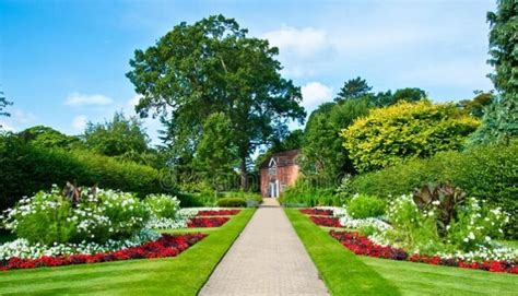 Jardinería Ornamental Qué Es Beneficios Cómo Empezar Jardines